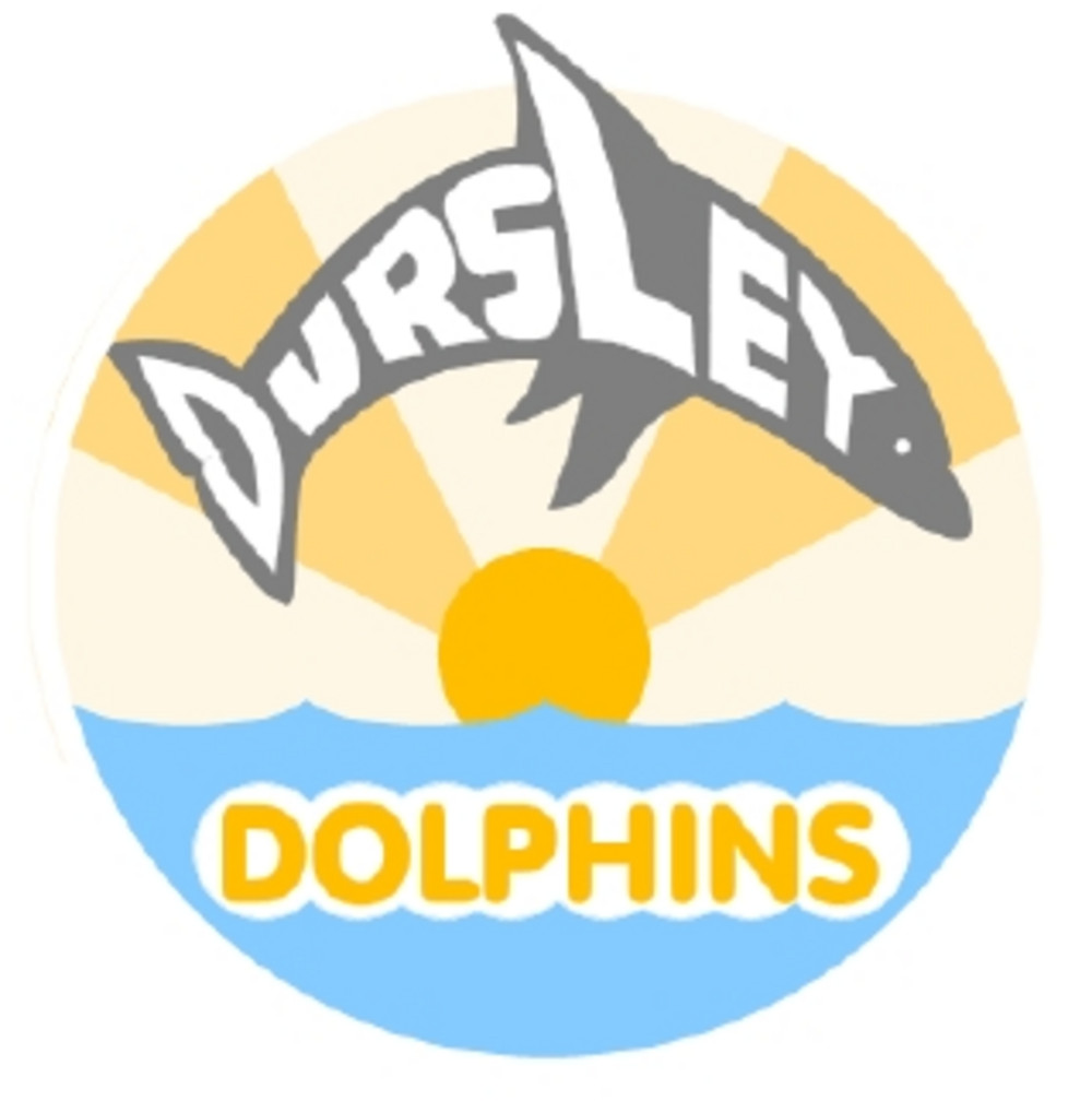 Dursley Dolphins are looking for a new Head Coach | Swim England South West